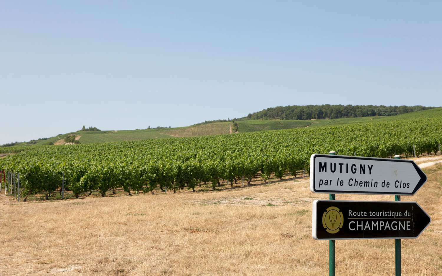 Review: Weekend naar de Champagnestreek met de Renault Megane E-Tech ...